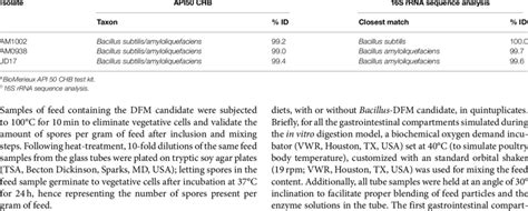 Identification Of Bacillus Spp Isolates By Biomerieux Api 50 Chb A Download Table