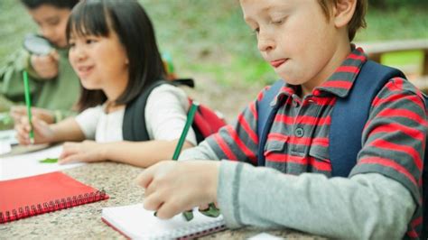 How Do You Write A Field Trip Report