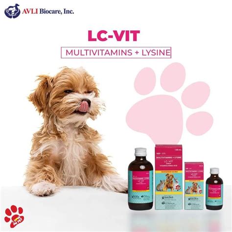 120ml LC Vit Multivitamins Syrup Vitamins PAW S Ph Shopee Philippines