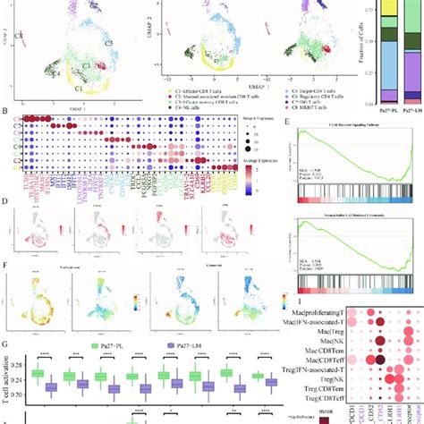 The ScRNA Seq Profiling Of T NK Cells In Paired PL And LM A Uniform Download Scientific