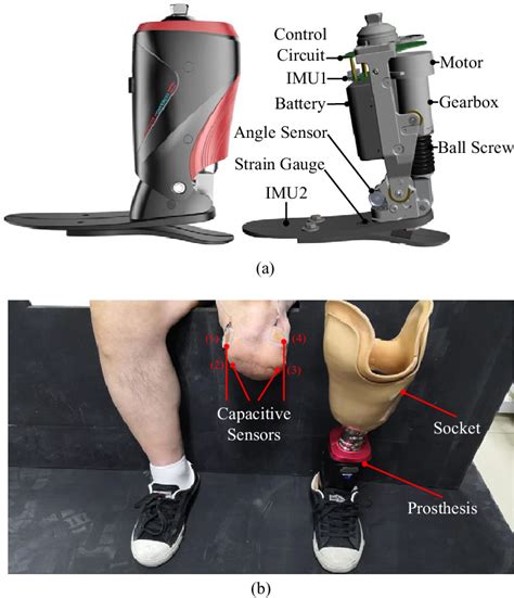 The Designed Robotic Transtibial Prosthesis And Wearing Diagram A