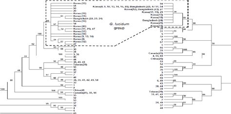 Figure 2 From Genetic Diversity Analysis Of Ganoderma Species And