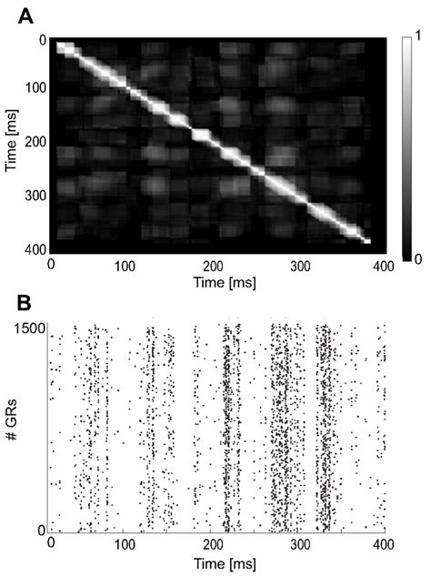 Granular Layer Spatio Temporal Activity A Similarity Indexes Download Scientific Diagram