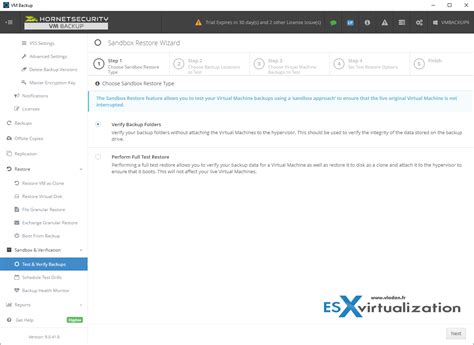 Hornetsecurity VM Backup V9 For VMware VSphere And Microsoft Hyper V Product Review ESX