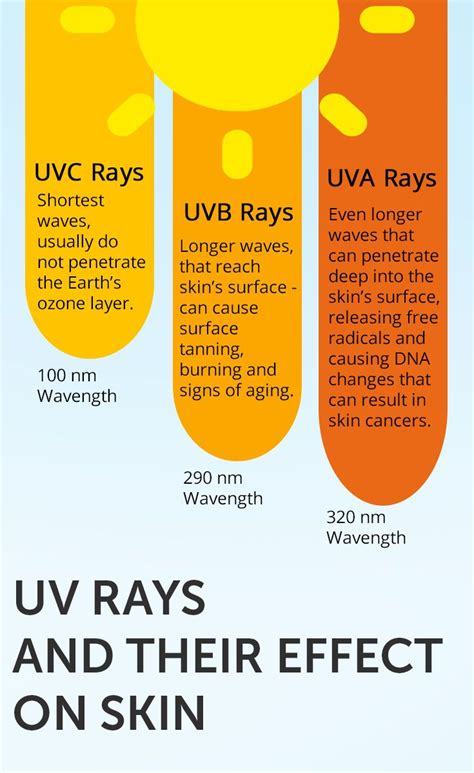 Uv Rays Artofit