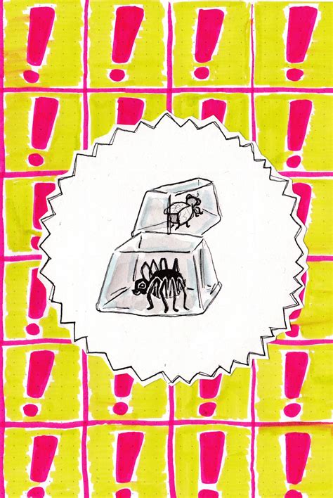 Rookie Classic Pranks A Taxonomy