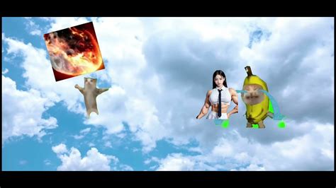 해피해피한 세상 Youtube