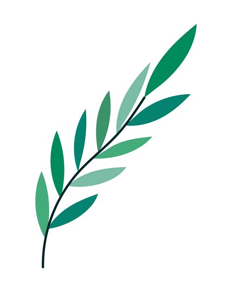 Plant Stem Image Vector Art At Vecteezy