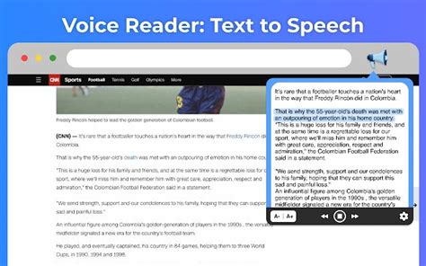 テキスト読み上げ chrome での音声リーダー tts