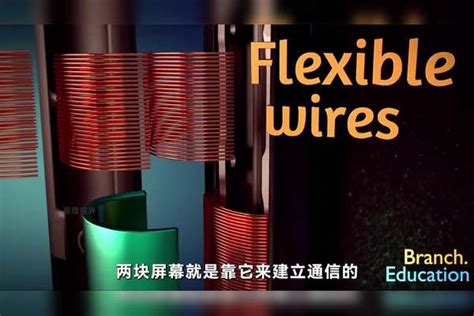 发明电瓶车的人绝对是个天才