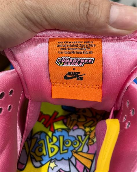 The Powerpuff Girls Nike Sb Dunk Low Blossom Fd2631 600