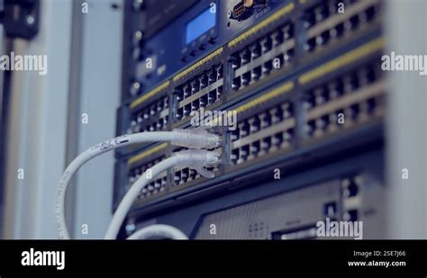 Network Switch Internet Router Ethernet Patch Cord Lan Hardware Server
