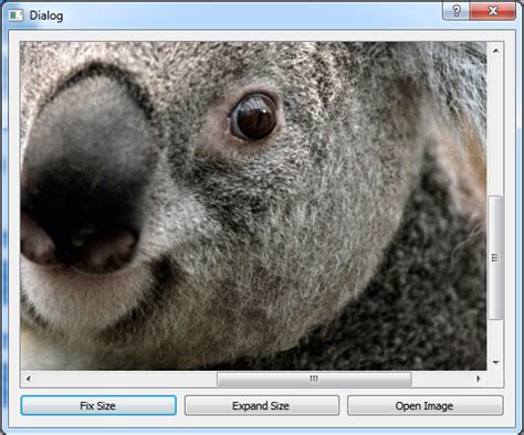 Qlabel Size Wont Expand Even After Setting Sizepolicy To Expanding Qt Forum
