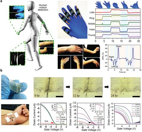 Self Healing Sensors Future Of Interface