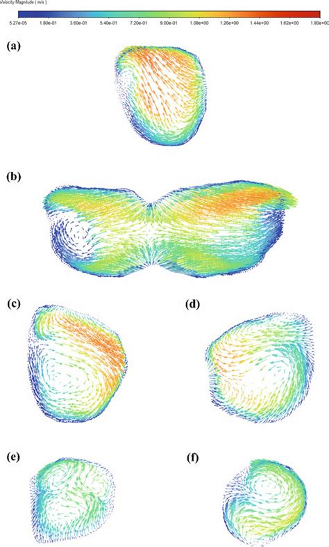 Planar Velocity Vector Plots Along The Cross Section Of A Trachea B Download Scientific