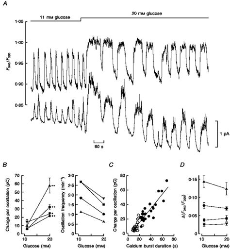 Modulation Of Intracellular Calcium Burst Dynamics And Pulsatile