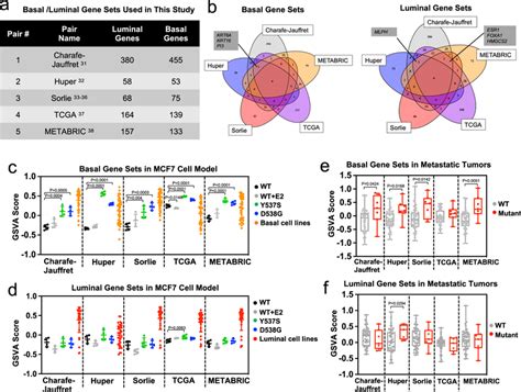 Basal Breast Cancer Gene Sets Are Enriched In Esr1 Mutant Breast