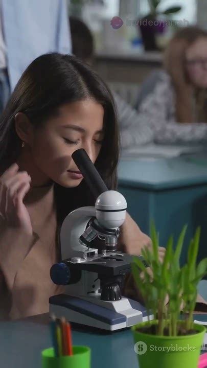 Expert Biology Assignment Help For Academic Excellence