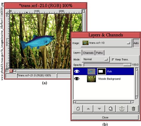GIMP Advanced Guide 4 3 4 Transparency As A Tool For Editing Masks