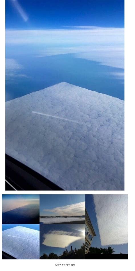 미국 직각구름 유머 움짤 이슈 에펨코리아