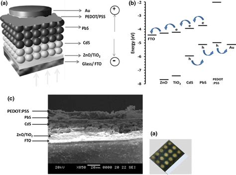 A Schematic Structure Of Ftoznotio2cdspbspedotpssau Solar Cell
