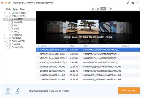 Mac SD Memory Card Data Recovery Pro Recover SD Card Data On Mac