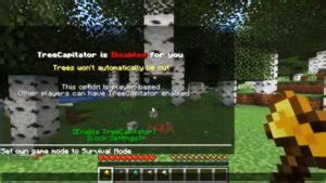 TreeCapitator DataPack 1 21 6 1 20 5 Cut Trees In One Hit
