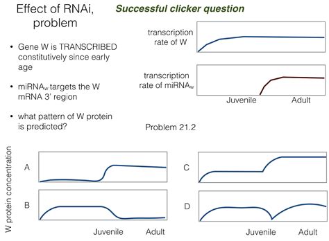 Flipping Genetics 101 Use Of Clicker Questions In The Flipped Lecture