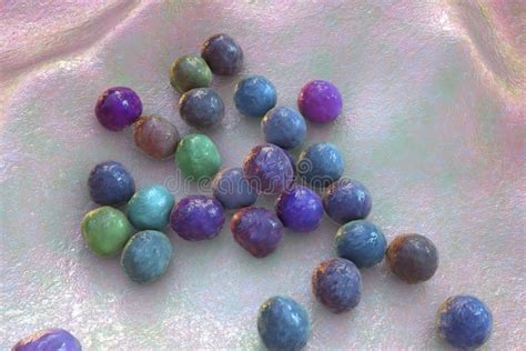 Bacteria Methicillin Resistant Staphylococcus Aureus Mrsa Stock Illustration Illustration Of