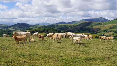 Lur Berri Réaffirme Son Modèle Agricole Territorial Presselib