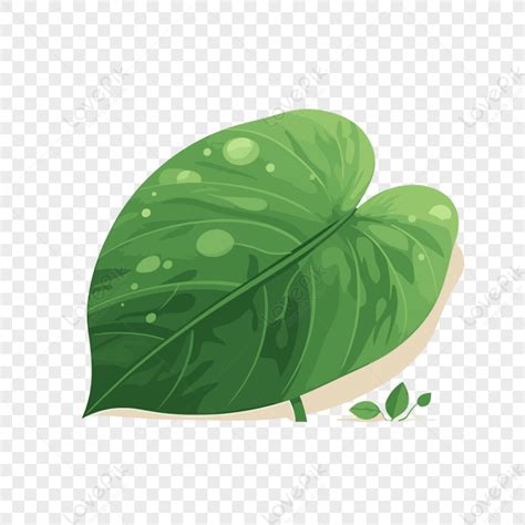 흰색 배경 만화에 나뭇잎과 녹색 잎 클립 아트 녹색 잎 벡터녹색 휴가 Png 일러스트 무료 다운로드 Lovepik