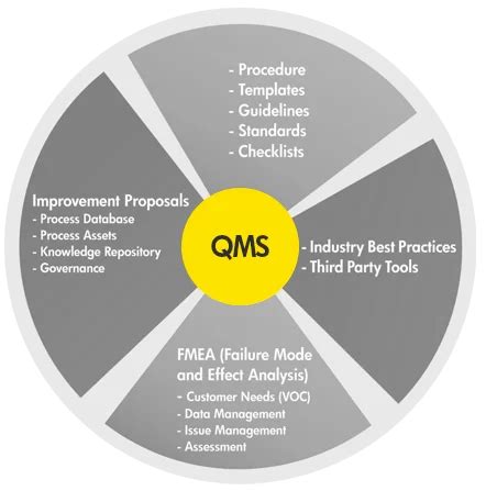 QA Processes And Governance Service In Hyderabad ID 8145231955