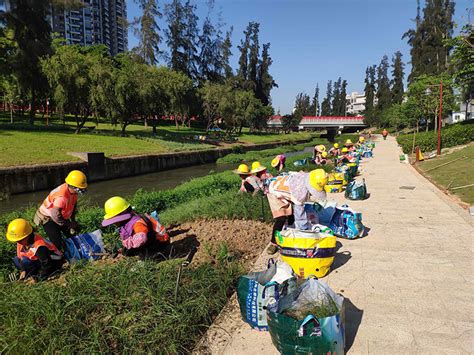 广州树木修剪砍伐迁移补种市政绿化垃圾清运处理东莞佛山广州金跃园林绿化工程有限公司 广州树木修剪砍伐迁移补种市政绿化垃圾清运处理东莞佛山广州金跃园林绿化工程有限公司