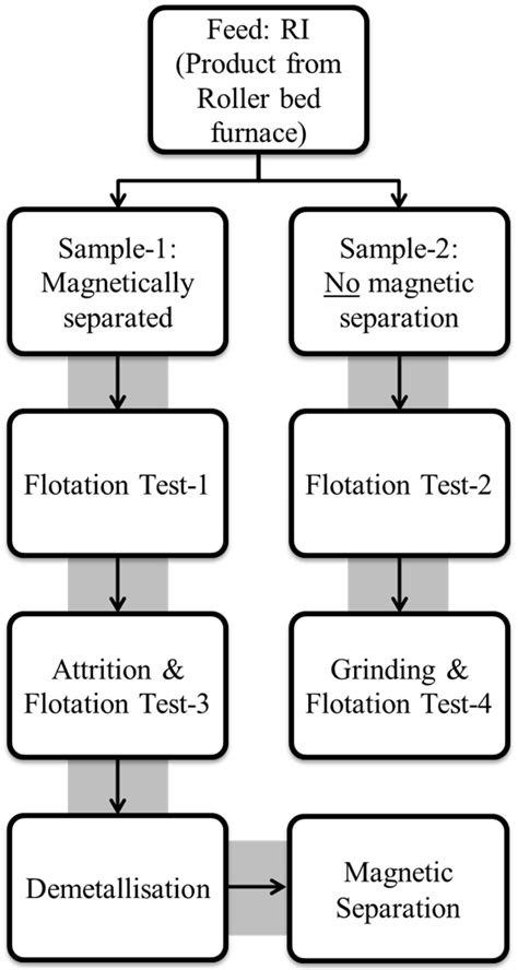 A Schematic Of The Experimental Plan To Test The Processes For The