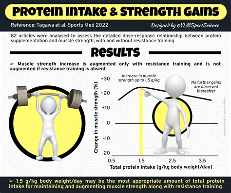 Synergistic Effect Of Increased Total Protein Intake And Strength
