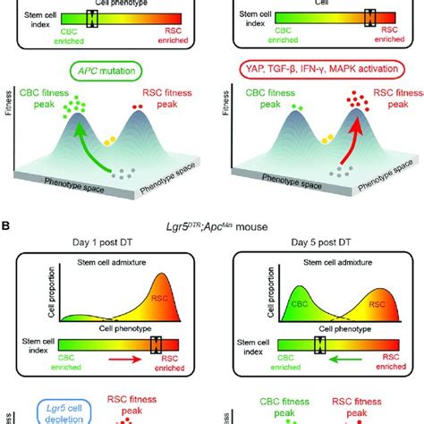 Fitness Landscape Model Download Scientific Diagram