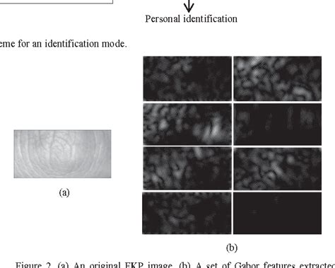 Figure 1 From An Improved Finger Knuckle Print Recognition Using Fractal Dimension Based On