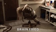 Fried Brain S Tenor