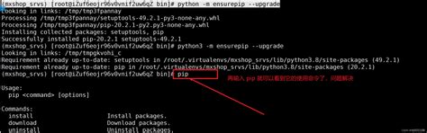From Pipinternalclimain Import Main Modulenotfounderror No Module