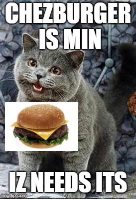 Can Has Cheezburger Meme Top 20 Memes Of The Week Jvtp