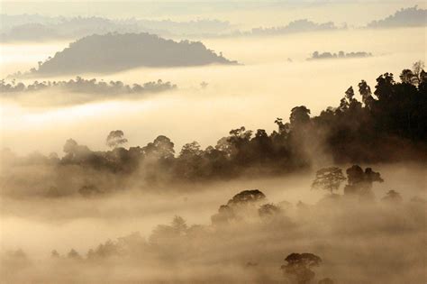 Danum Valley Packages 2025 Unforgettable Wildlife Adventure