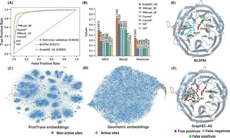 Accurately Predicting Enzyme Functions Through Geometric Graph Learning On Reisel González Pérez