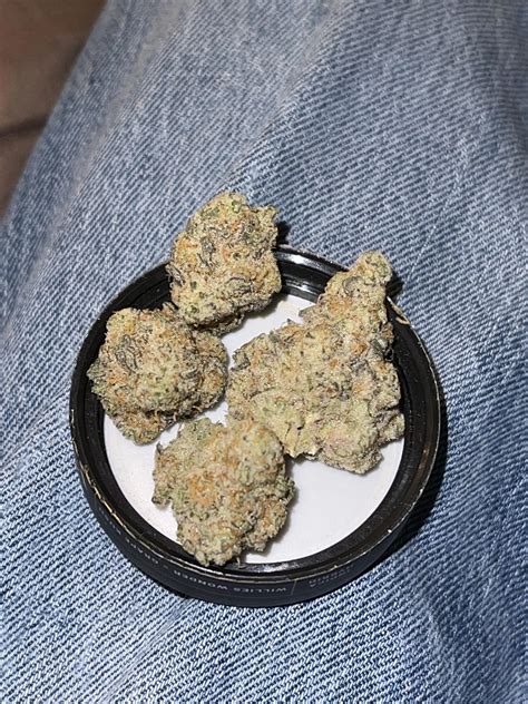 Cheers 🔥💤 Scrolller