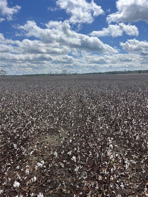 A Great Cause To Support Greg Hathcox