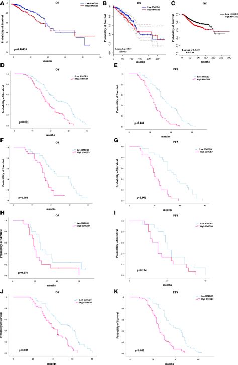 Correlation Between Breast Cancer Survival Prognosis And Hmgb3 Gene Download Scientific Diagram