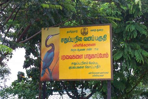 Briding In Chennai Pallikaranai Wetland Marsh Chennai Tamil Nadu