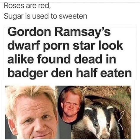 The Best Badger Memes Memedroid