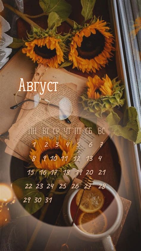 Календарь Август Осенние изображения Обои Картинки домашних животных