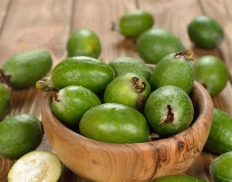 Фейхоа картинки 50 фото