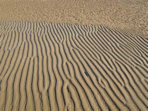 Sedimentary Geology Is The Way